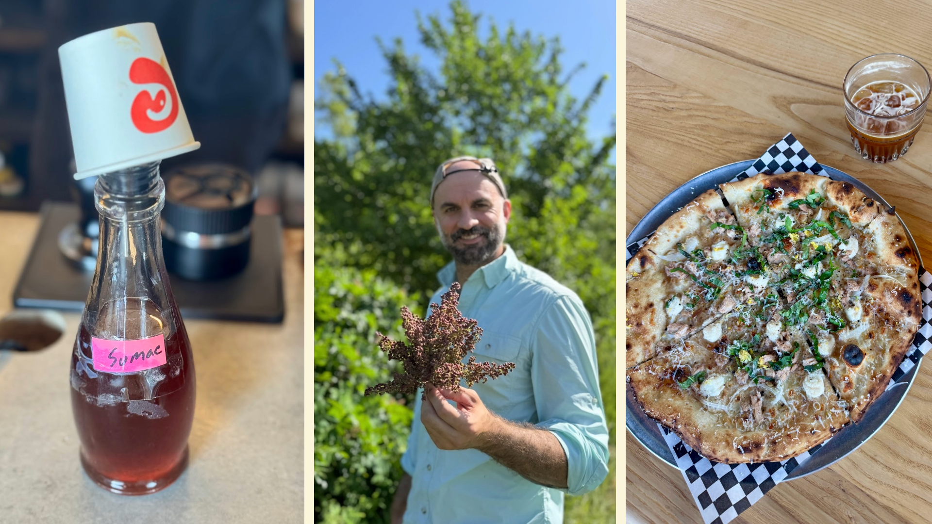 Sumac Is Delicious And Plentiful In Oklahoma. Why Don’t We Use It More ...